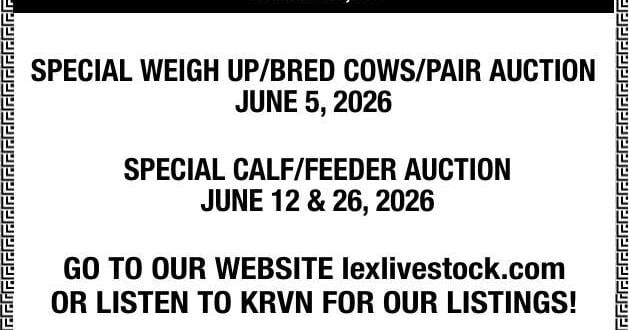 Lexington Livestock Market