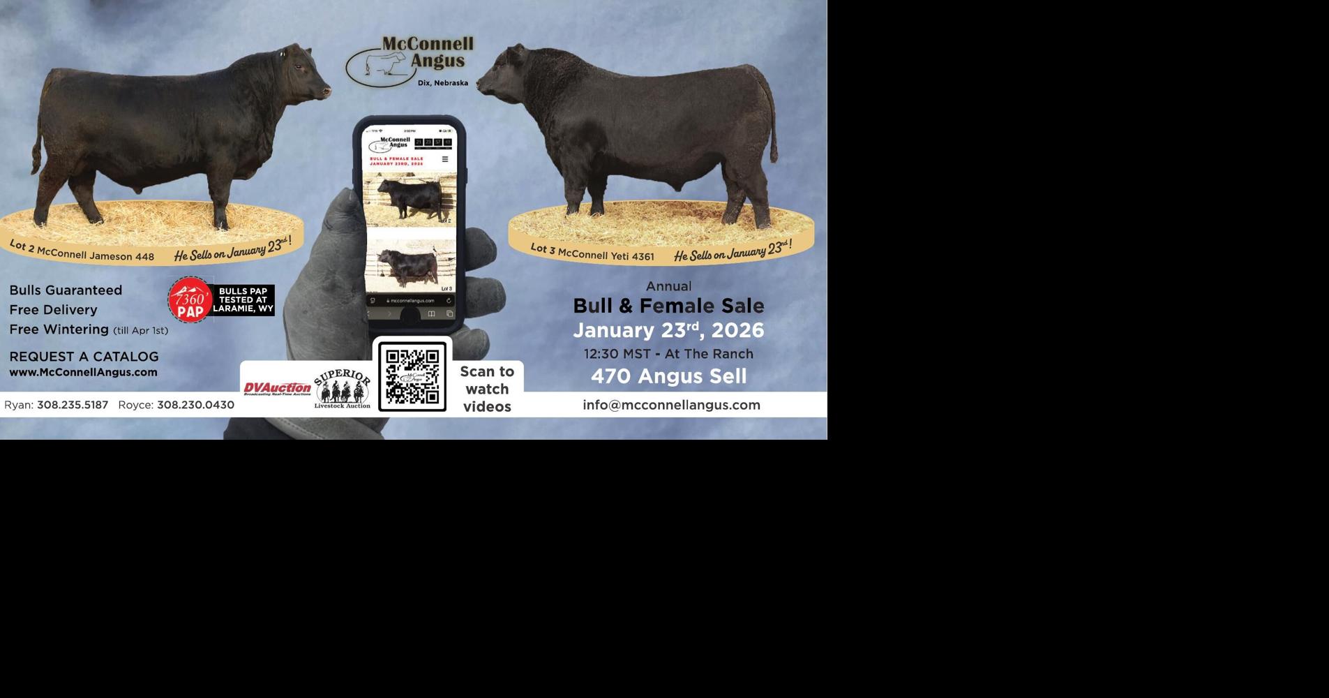 McConnell Angus - Ad from 2026-01-16