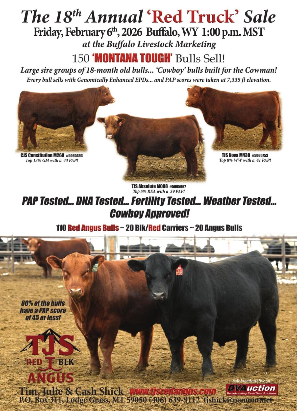 TJS RED ANGUS - Ad from 2026-01-09