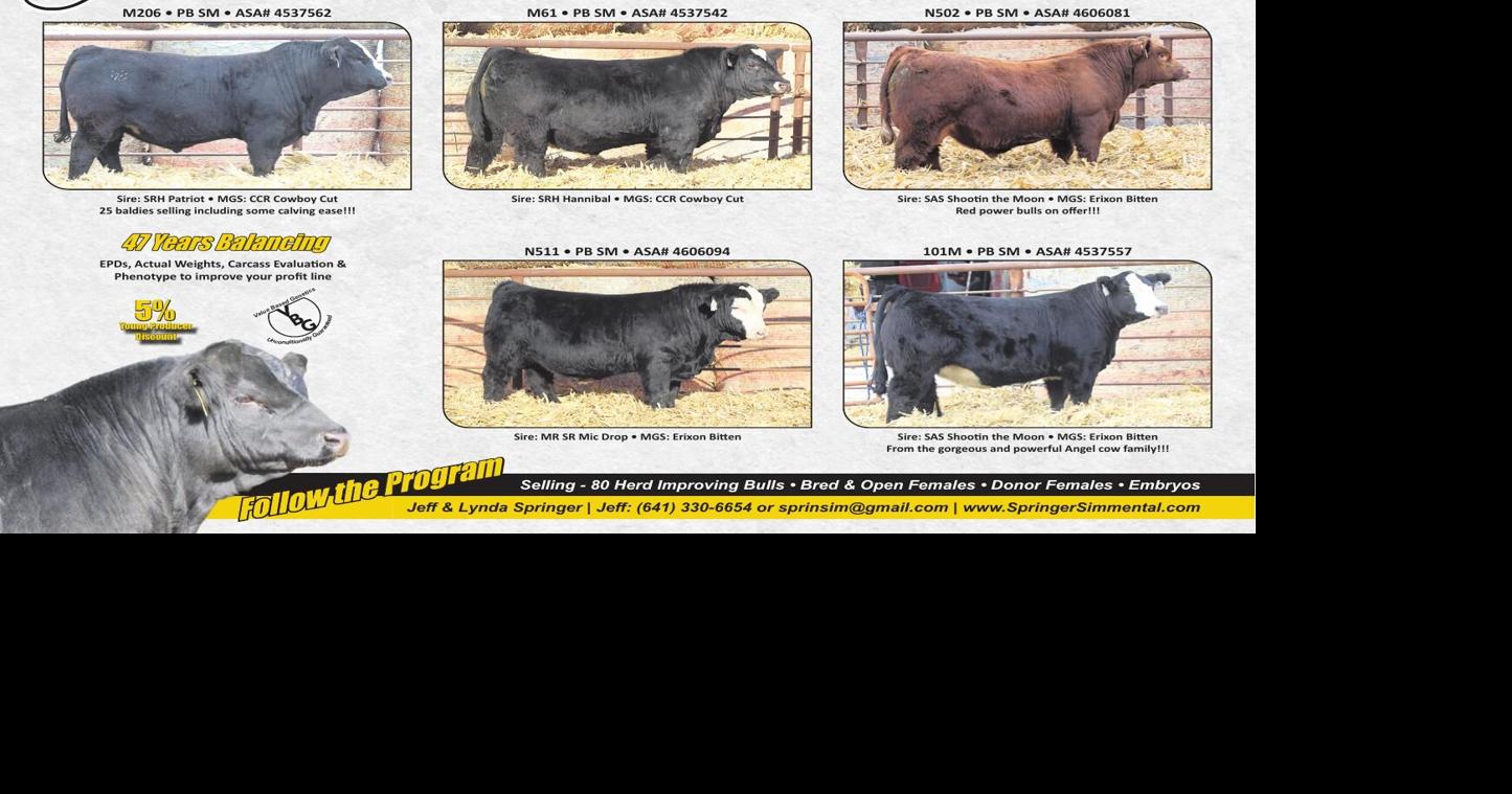 SPRINGER SIMMENTAL - Ad from 2026-01-09
