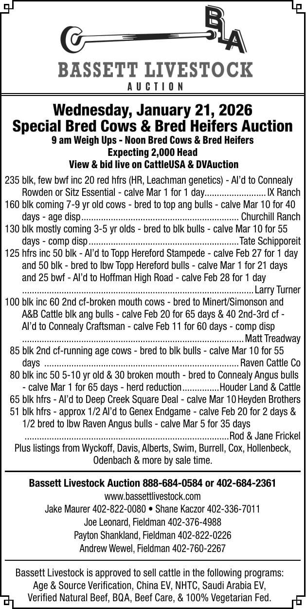 Bassett Livestock Auction