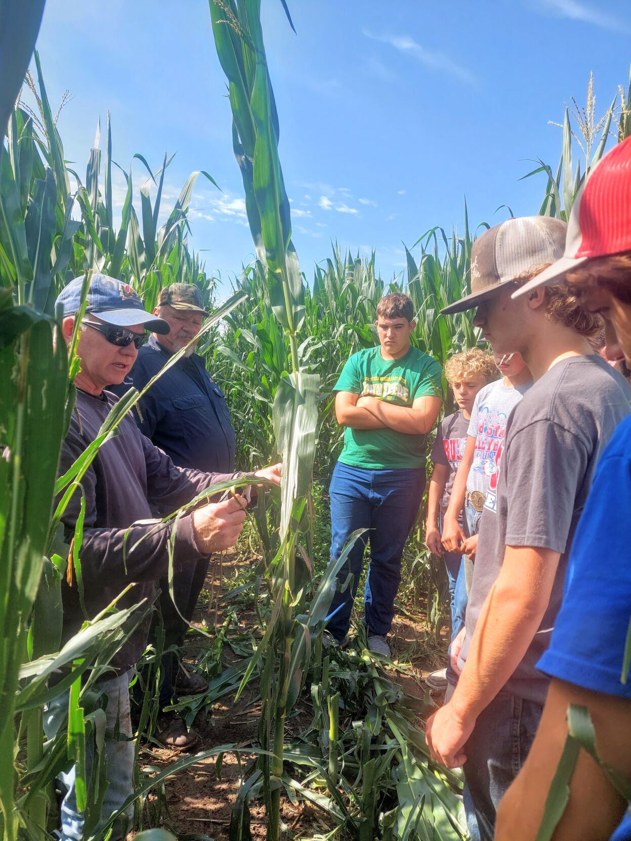 Large FFA corn field project and its hail storms teaches huge lessons