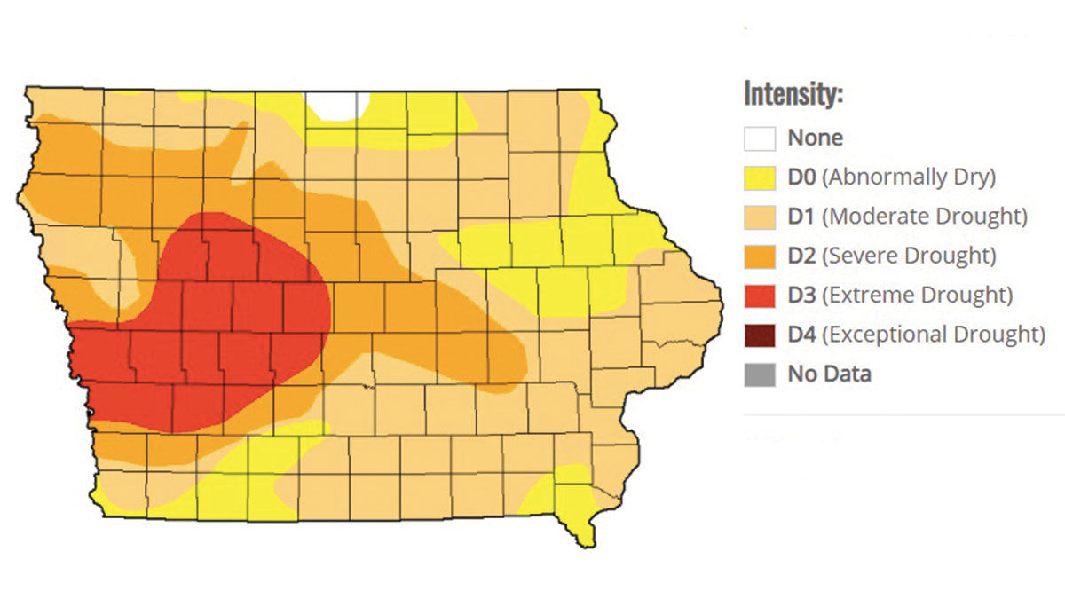 Drought could make for early northern harvest
