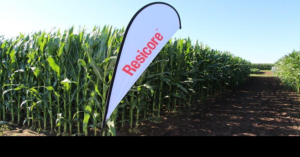 Resicore herbicide registered for corn