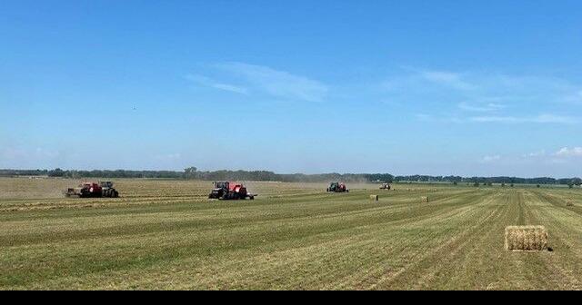 Crops growing tall, hay coming down in Tri-State Neighborhood