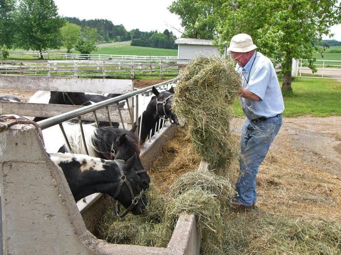 Milk Buds hitched to dairy promotion