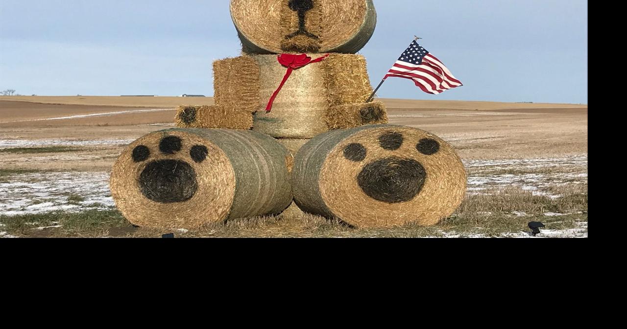 Bale Teddy bear brings a lot of joy to neighborhood