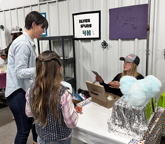 All fun and games at Chase County 4-H Carnival