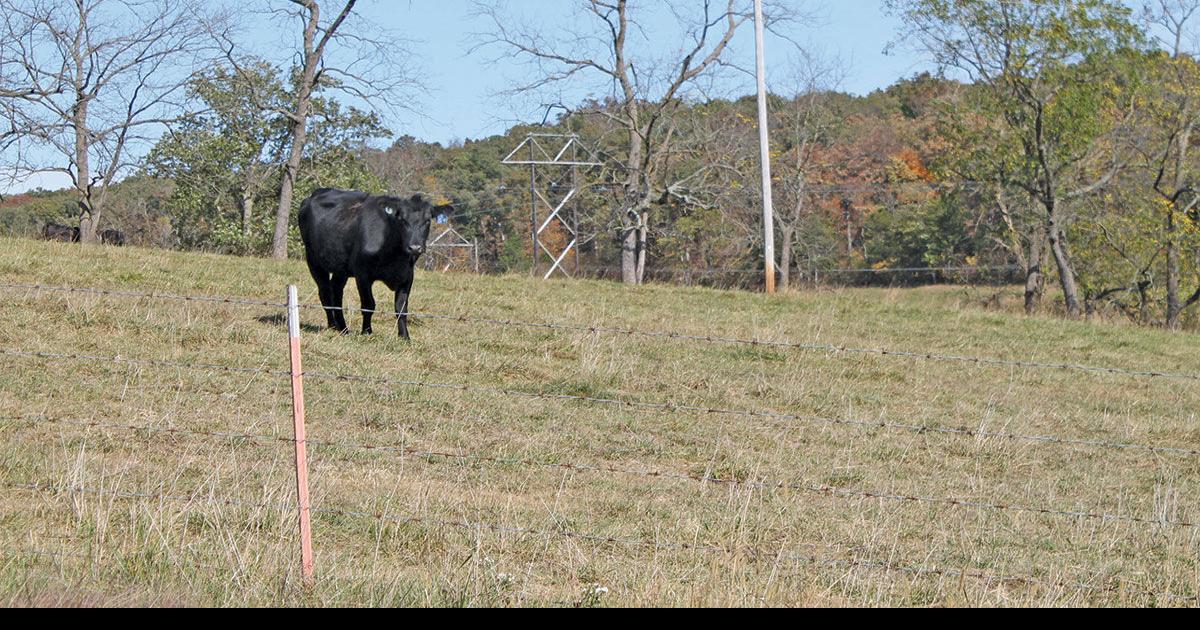 Fall pasture management