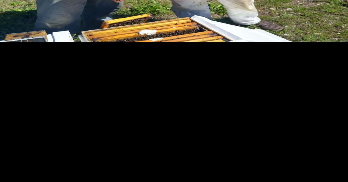 Smoot Honey kicks off spring season