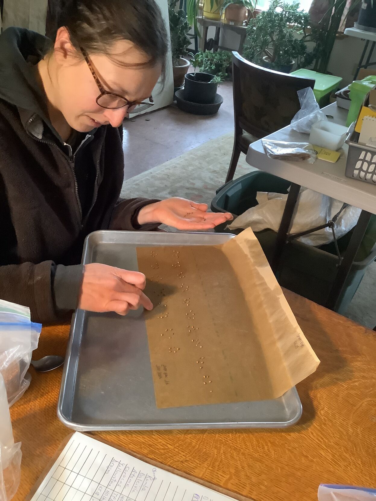 Triple Divide Organic Seed offers multitude of varieties