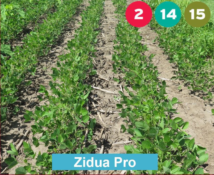 Learn soybean-herbicide control | Crops | agupdate.com