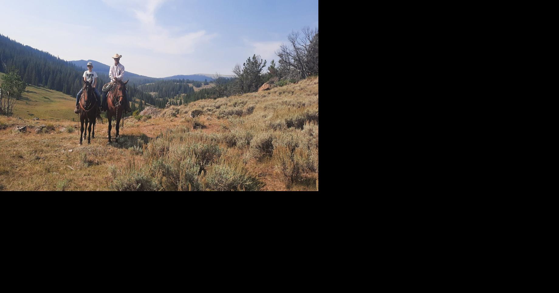 No shortage of dogs or horses at the Herman ranch