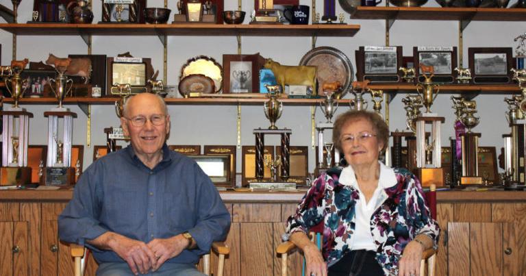 A lifetime of Jersey cattle, Barlass’ passion burns strong