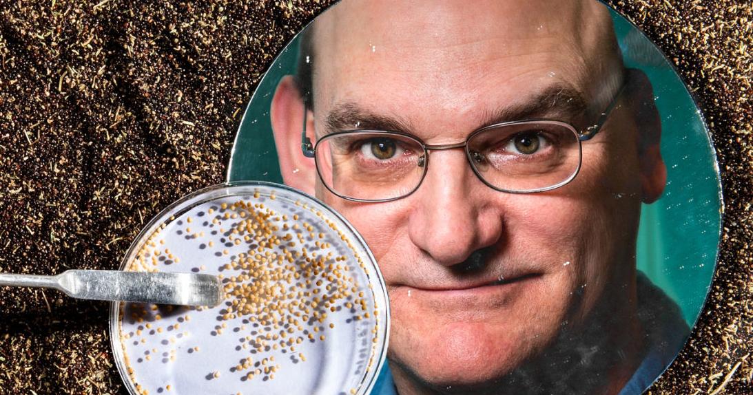 Palmer amaranth -- evil field invader