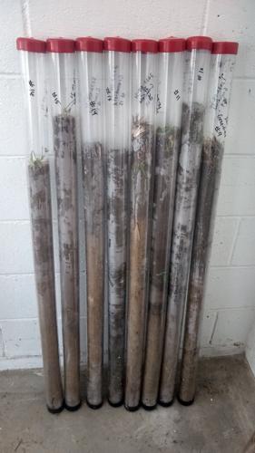 Soil-core samples