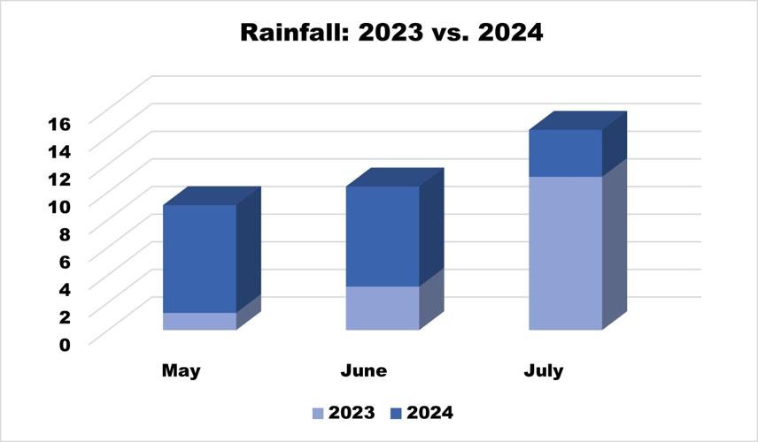 It’s raining, it’s pouring, the garden is growing