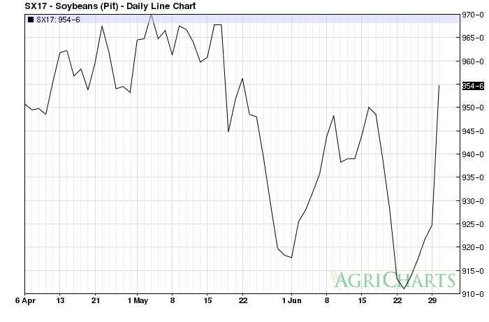 Soy soars as wheat extends rally on acreage misses