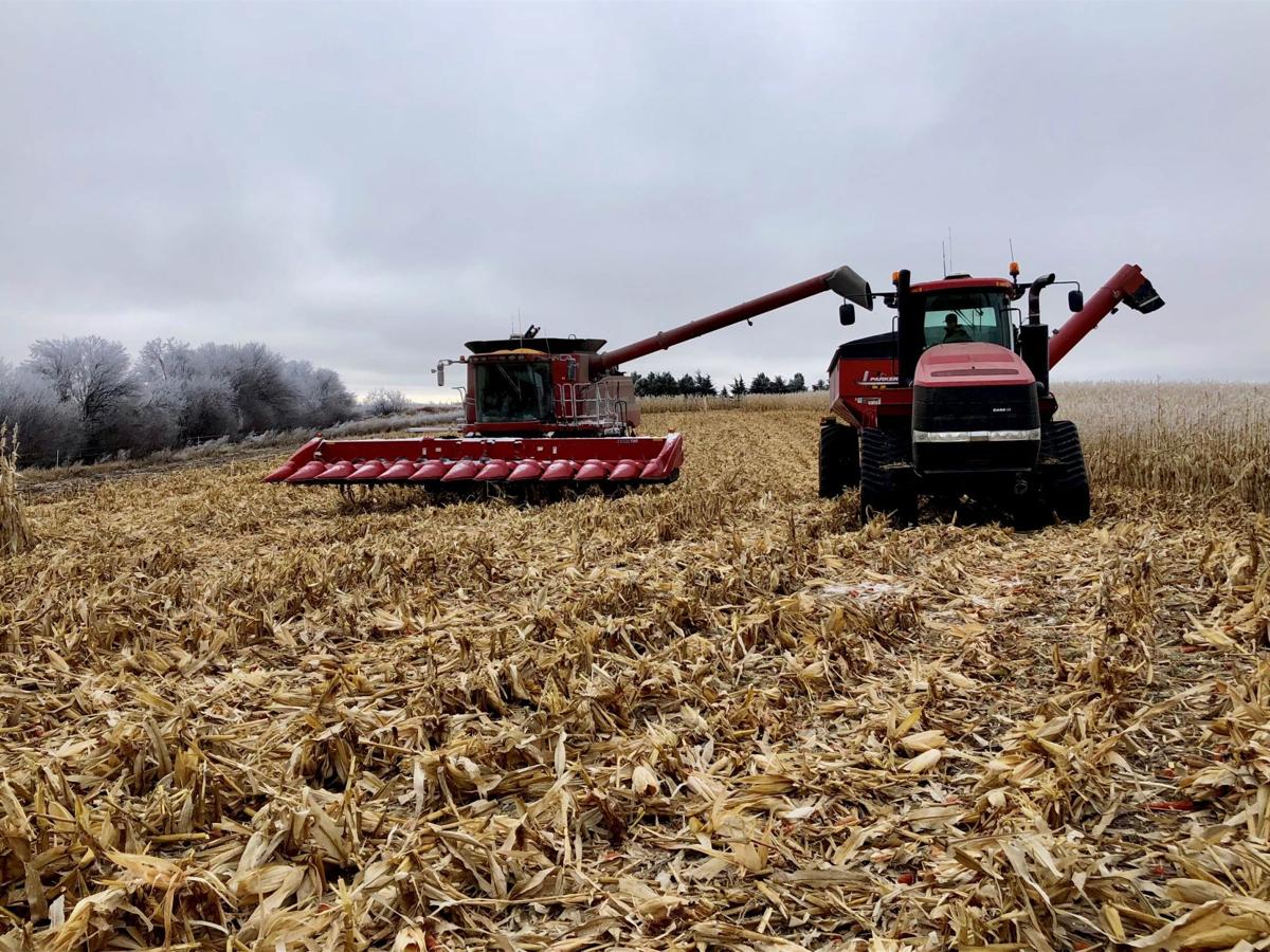 Nelson’s finish soybean harvest and end of corn in sight