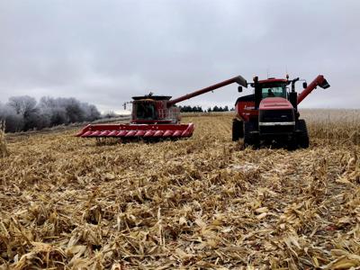 Nelson’s finish soybean harvest and end of corn in sight