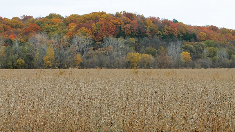 Harvest draws to a close in Missouri with good yields