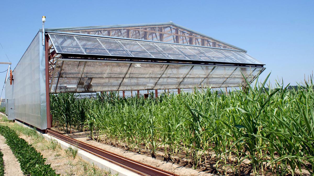 Rainout shelters help Missouri farmers manage drought