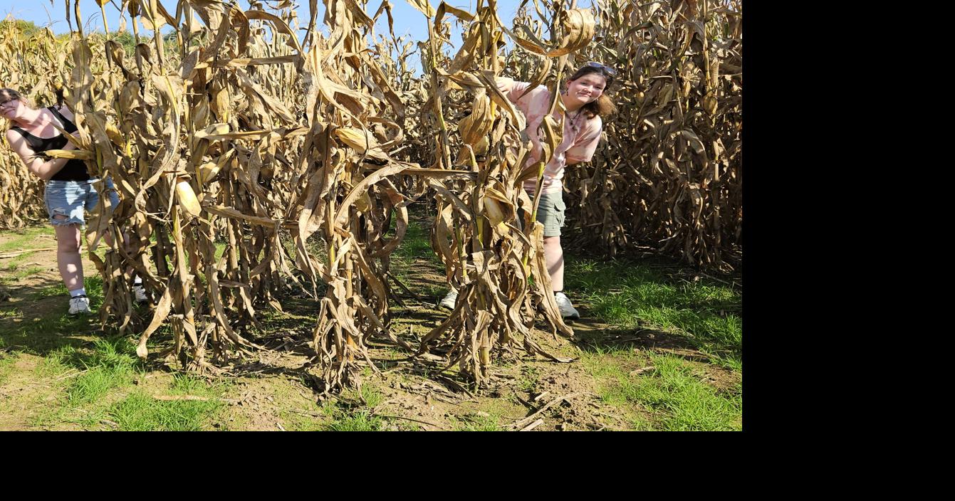 From the Fields: LeeAnne Bulman with Kaleb Ellis