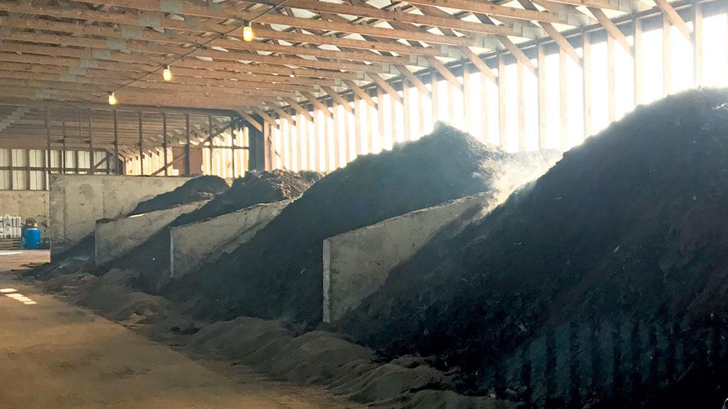 Producers eye carcass disposal options