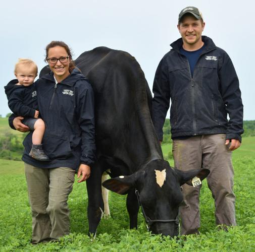 holstein breeders