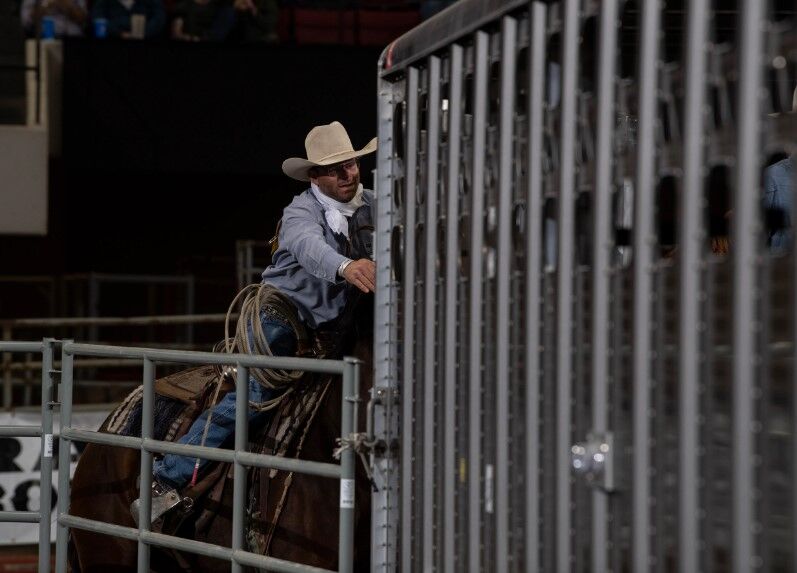 NILE offers western showcase of rodeo, livestock this October