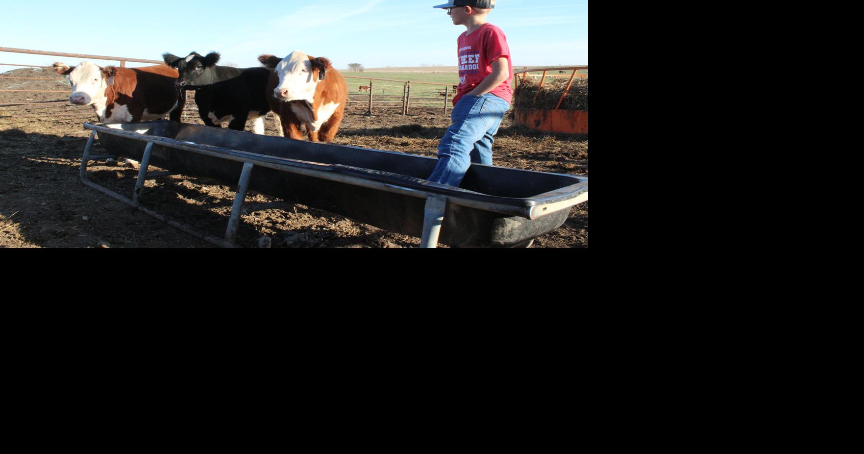 Beef Boosters