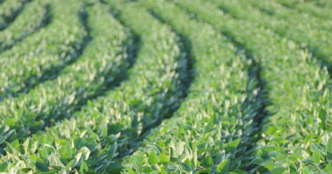 Cropland value momentum continues