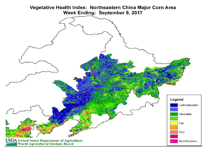 China corn: Yields rise amid efforts to trim stocks