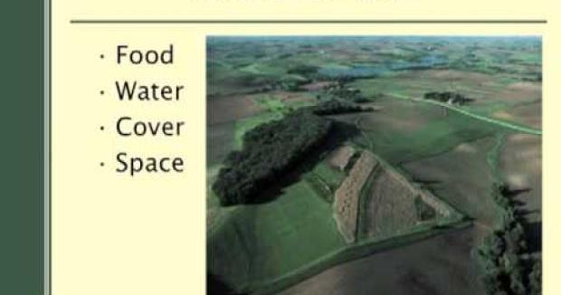 USDA helps landowners conserve wetlands, enhance wildlife habitat