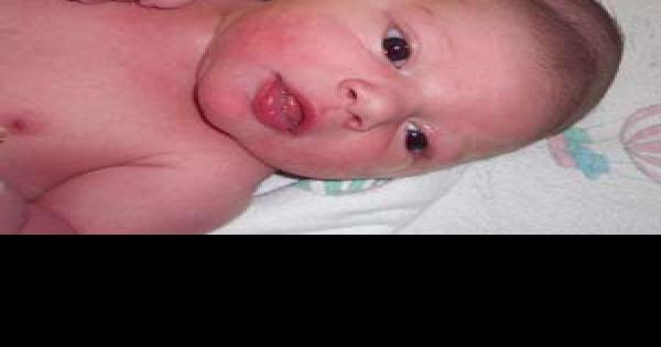 Michael Anton-Jay Louden