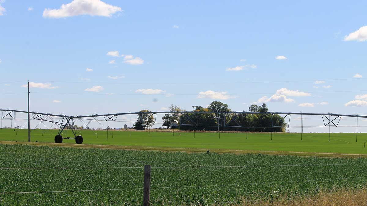 Seed supply, labor major issues for sod industry