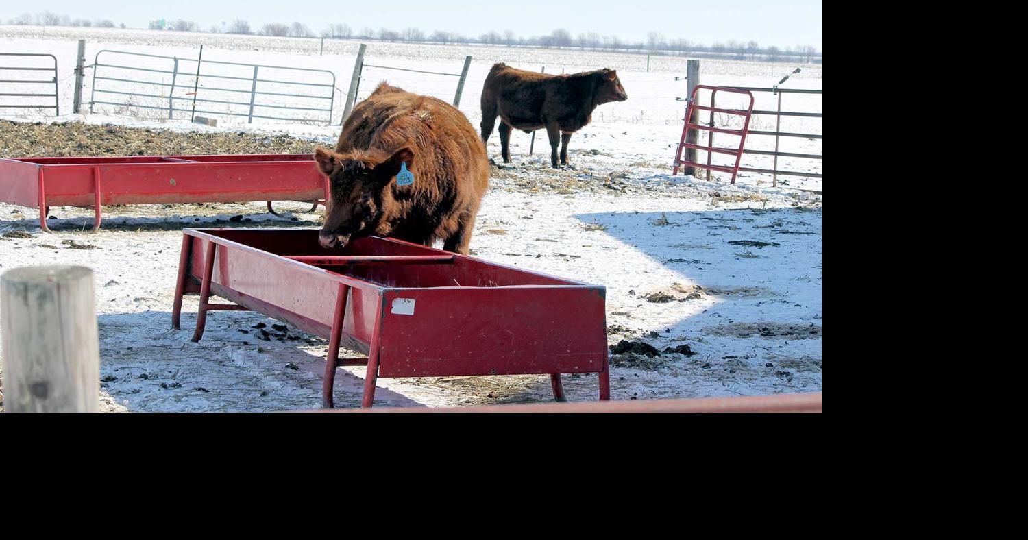 Producers work through pre-winter checklist