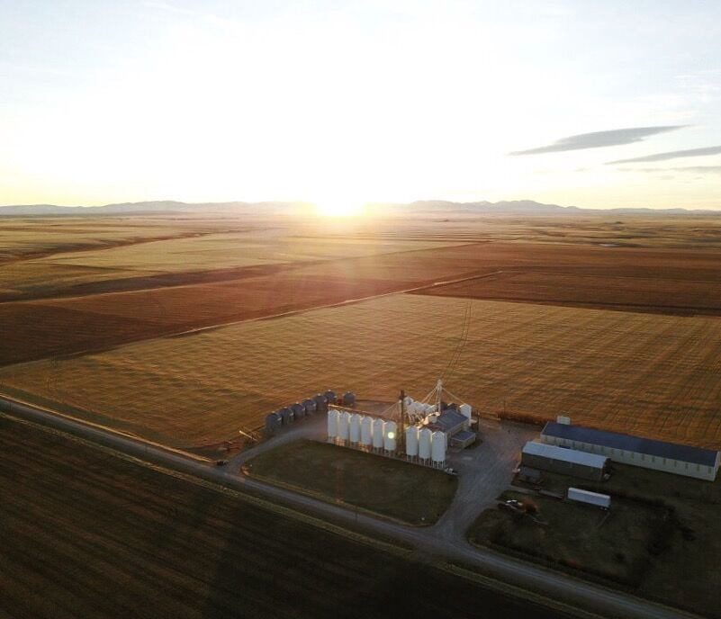 Clearview Seed – blessed to service a small community