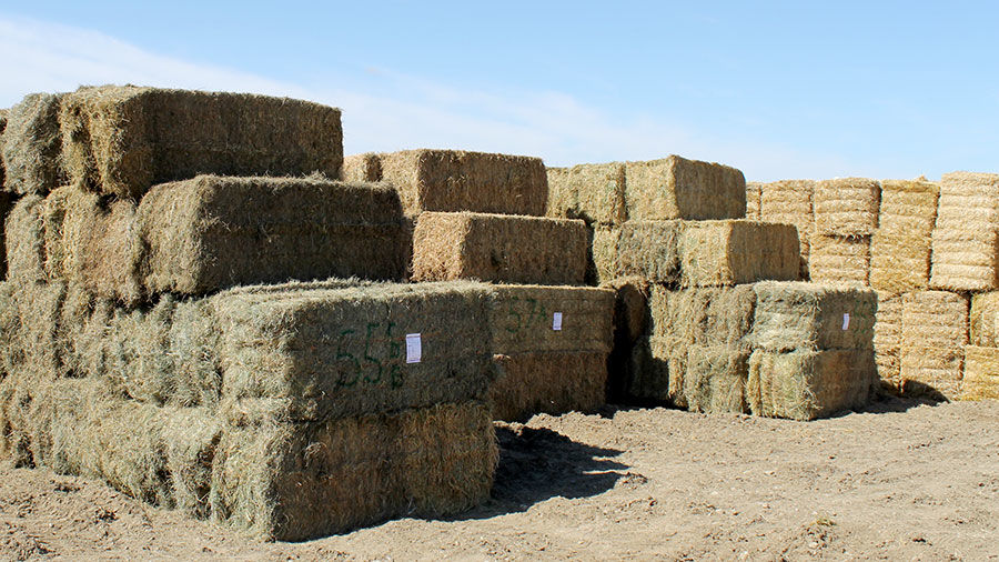 Iowa hay and straw directory seeks updates