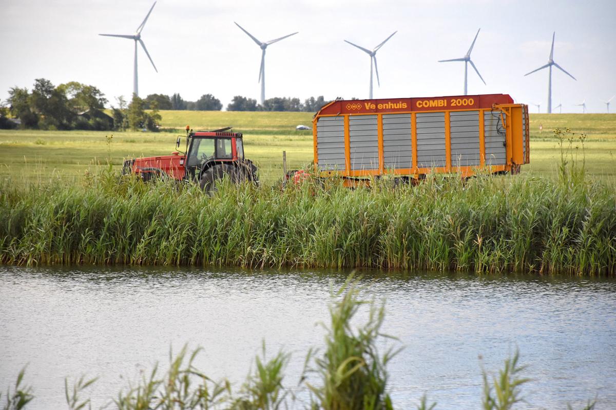 European farmers suffer difficult year | Business | agupdate.com