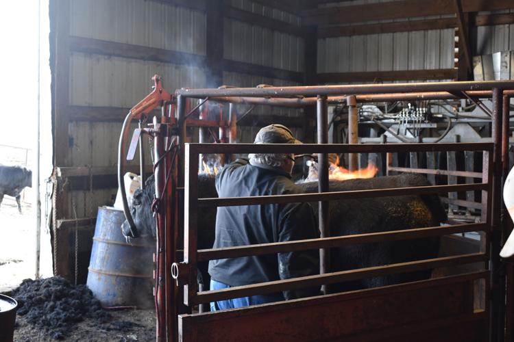 A lesson in trimming and torching