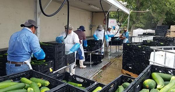 Locally Grown: Daniels Produce a staple for Midwestern vegetables