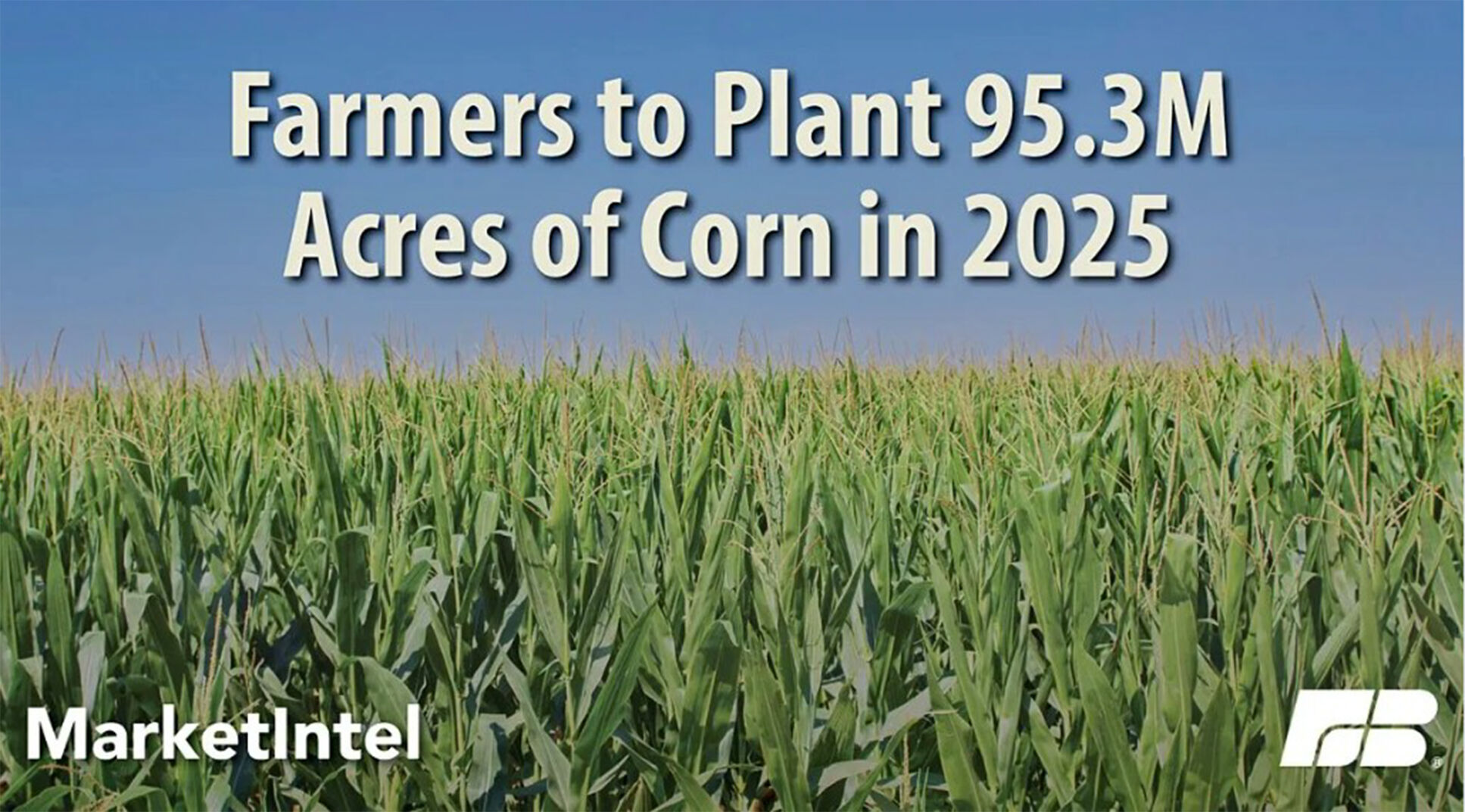 Farmers plant corn, corn, corn