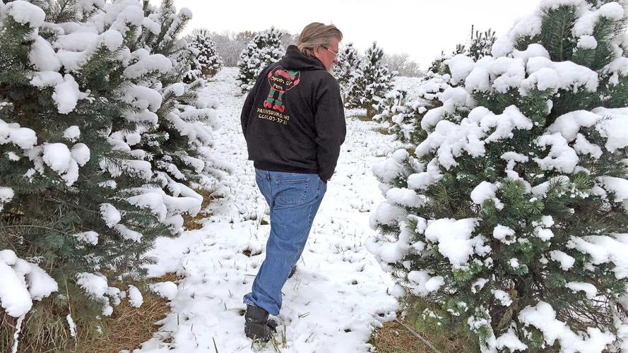 Christmas tree farm spreads holiday cheer