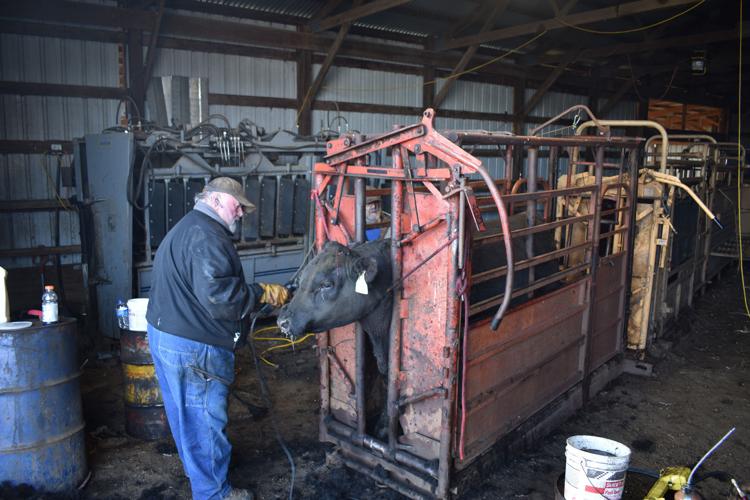 A lesson in trimming and torching