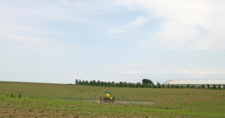 Officers selected for National Pork Board