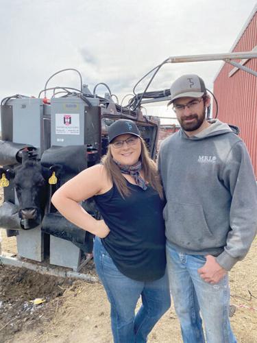 Producer Progress Reports: Rooney Ranch