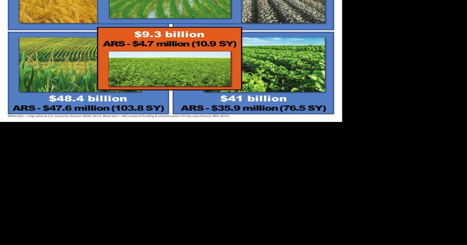 Alfalfa research needs funding