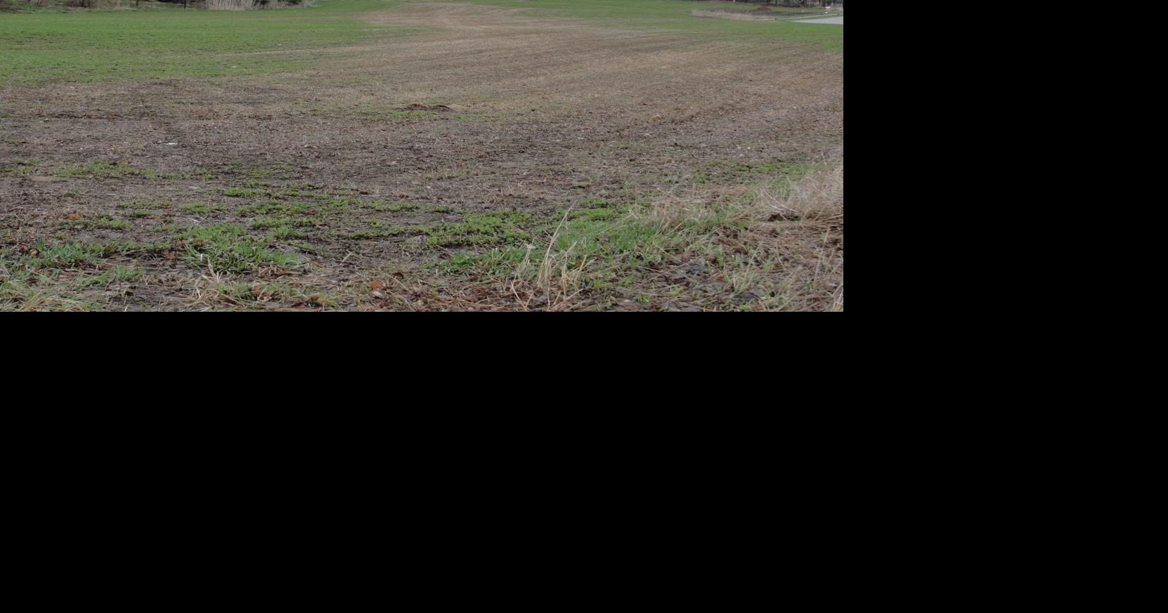 Fall dormancy in alfalfa