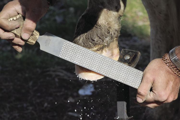 Don’t cut corners with essential equine care